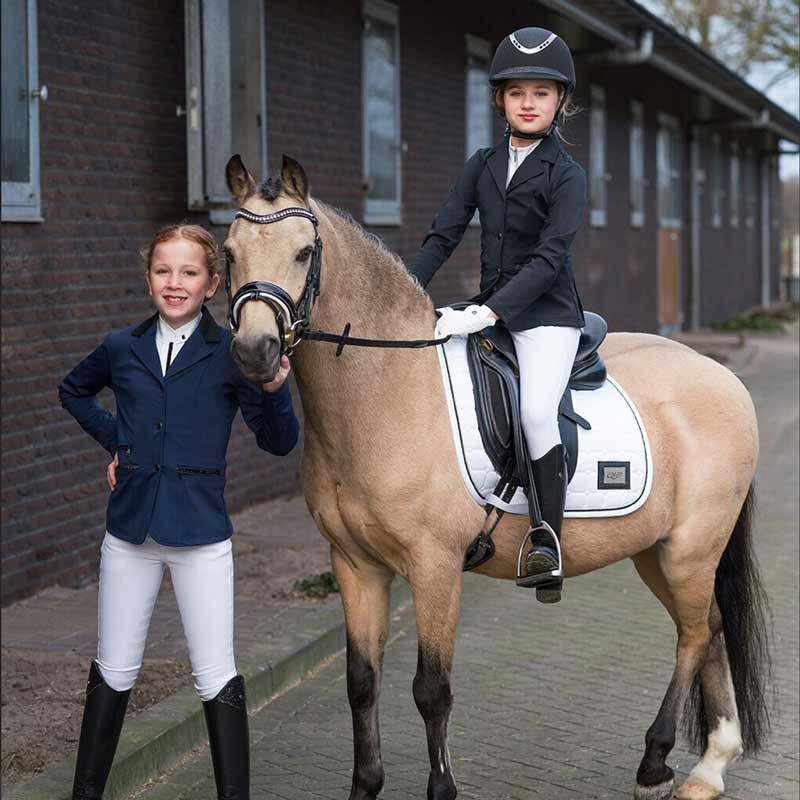 Our Sponsors - The Pony of the Year Show Information site - POYS